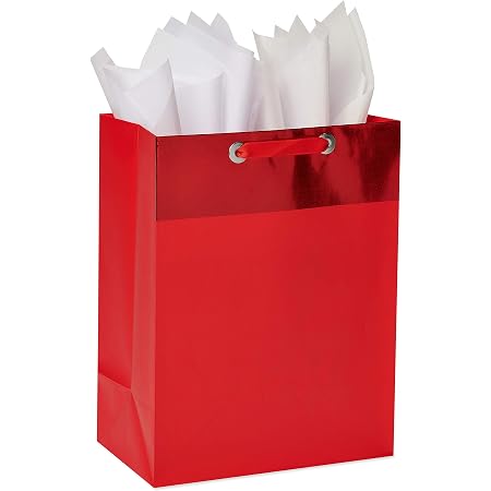 Amazon.com: Hallmark 13" Large Gift Bag with Tissue Paper (Red Foil ...