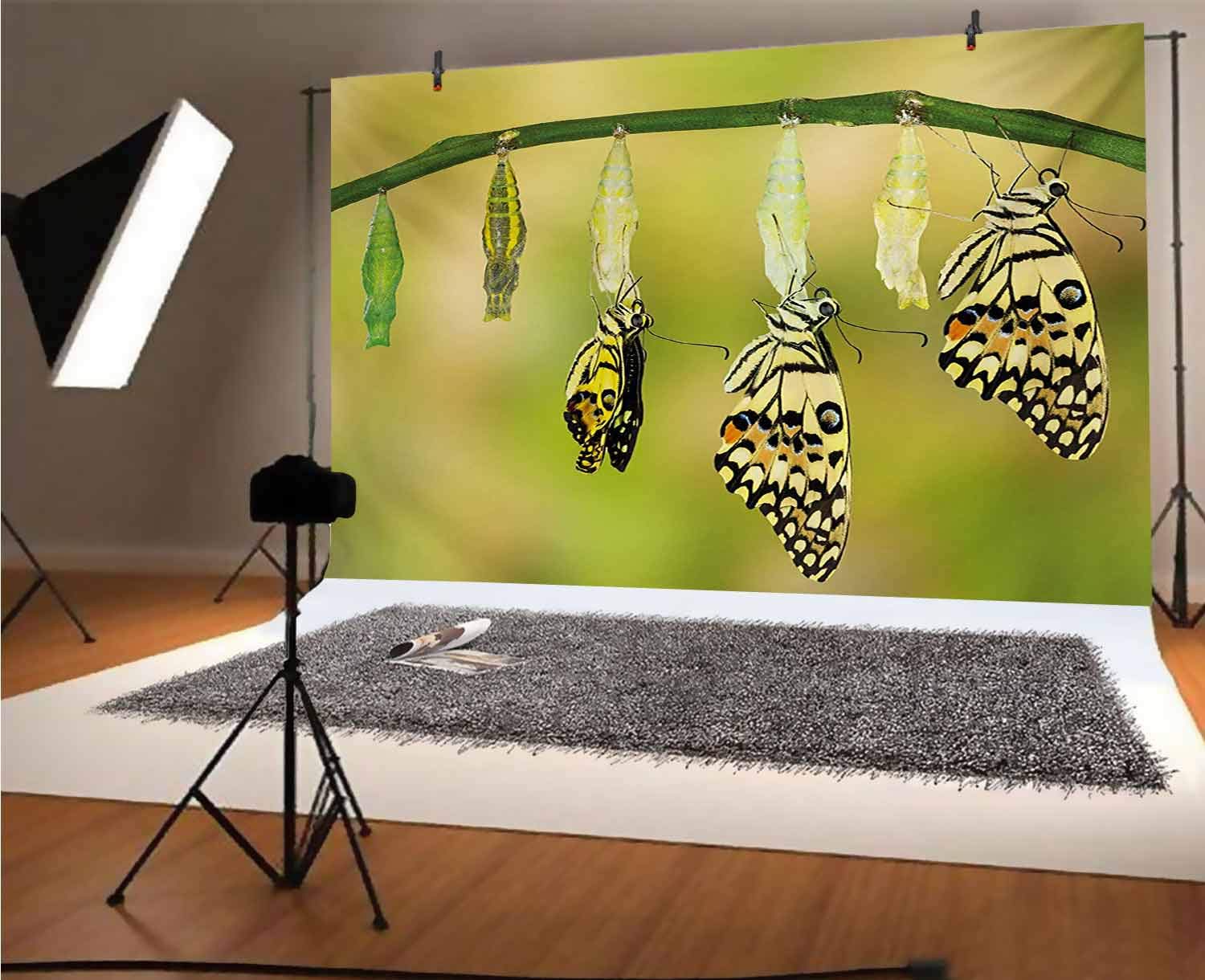 Buy Swallowtail Butterfly 10x6.5 FT Vinyl Photography Background ...