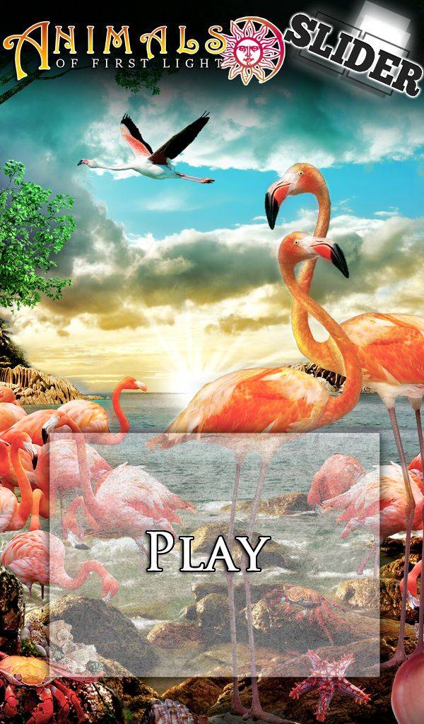Animals of first Light Slider - App on Amazon Appstore