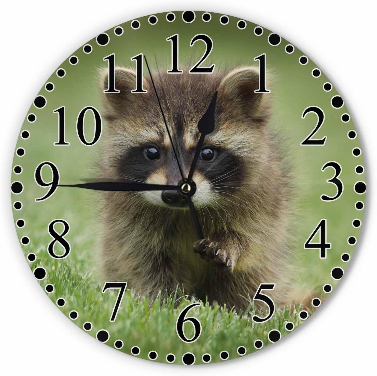 Amazon.com: KEEPSUPER Raccoon Wall Clock Animal Pet Green Grass Lawn ...