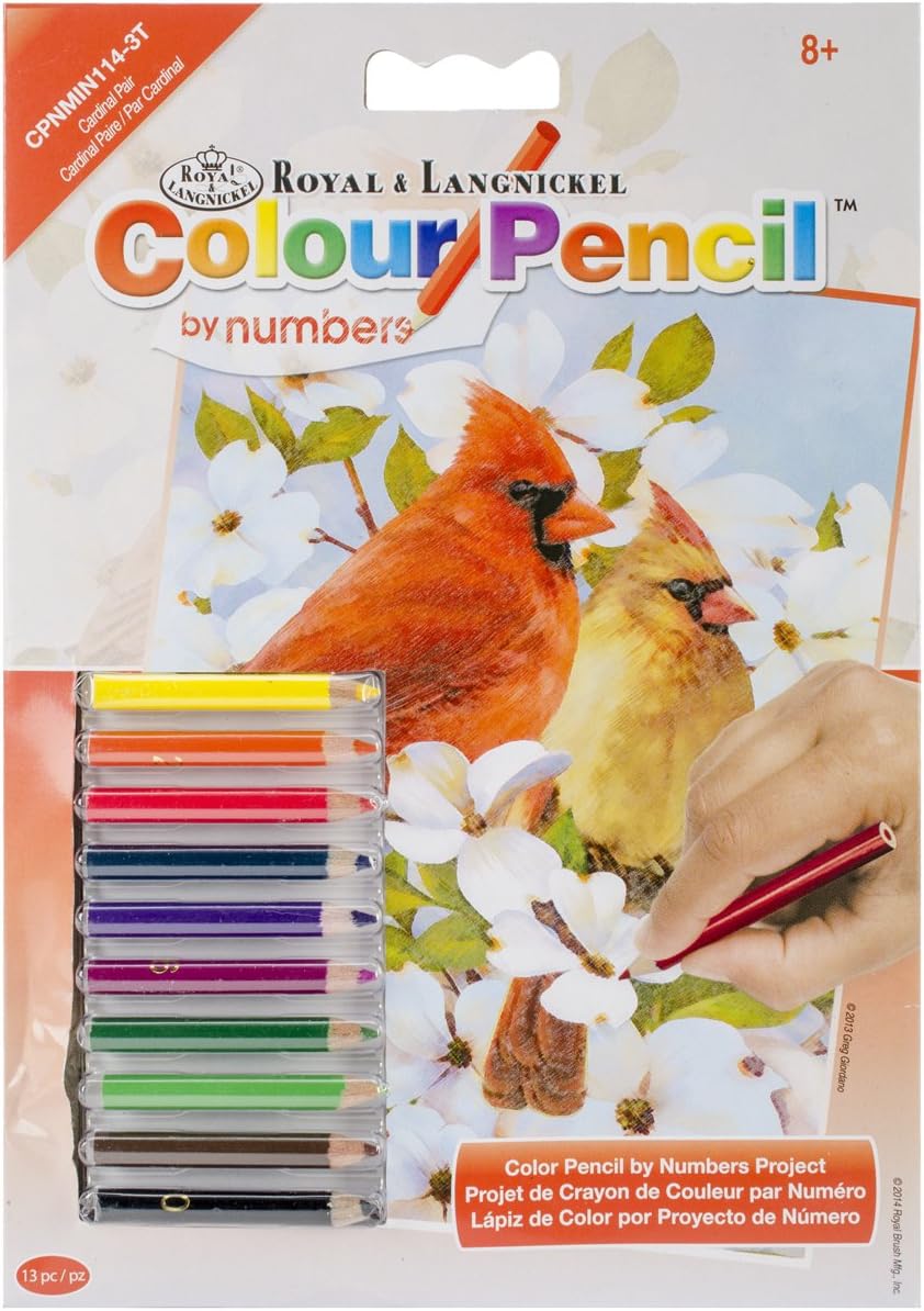 Royal and Langnickel Mini Colour Pencil by Number Kit 5 inch x 7 inch ...