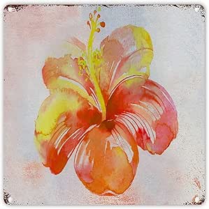Amazon.com: Retro Orange Hibiscus Flower Aluminum Sign Vintage ...