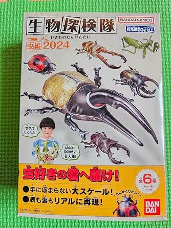 Amazon.co.jp: Biological Expedition Insects 2024 Set of 4 : Toys & Games