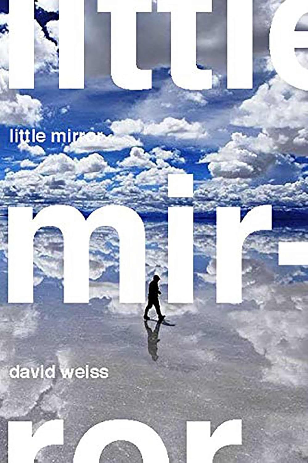 Little Mirror: Weiss, David: 9780899241821: Amazon.com: Books