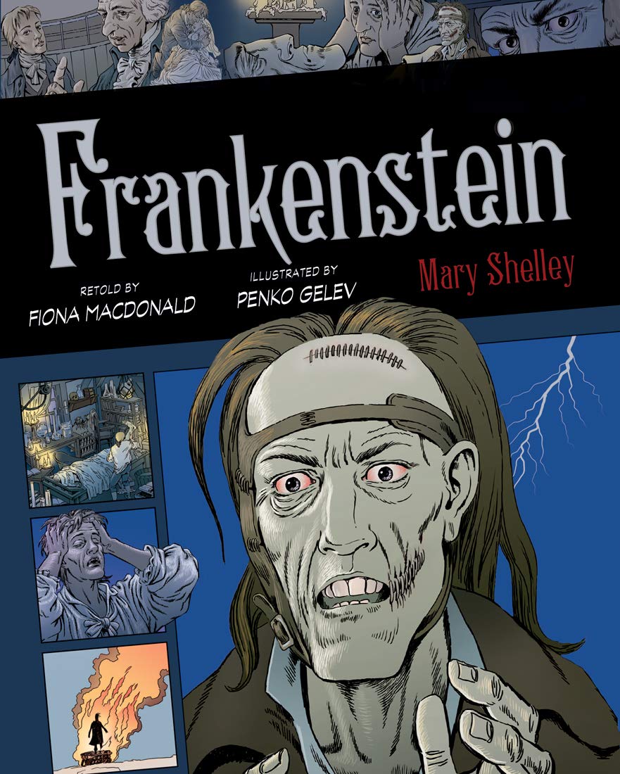 Amazon.com: Frankenstein (Volume 3) (Graphic Classics): 9781454939719 ...