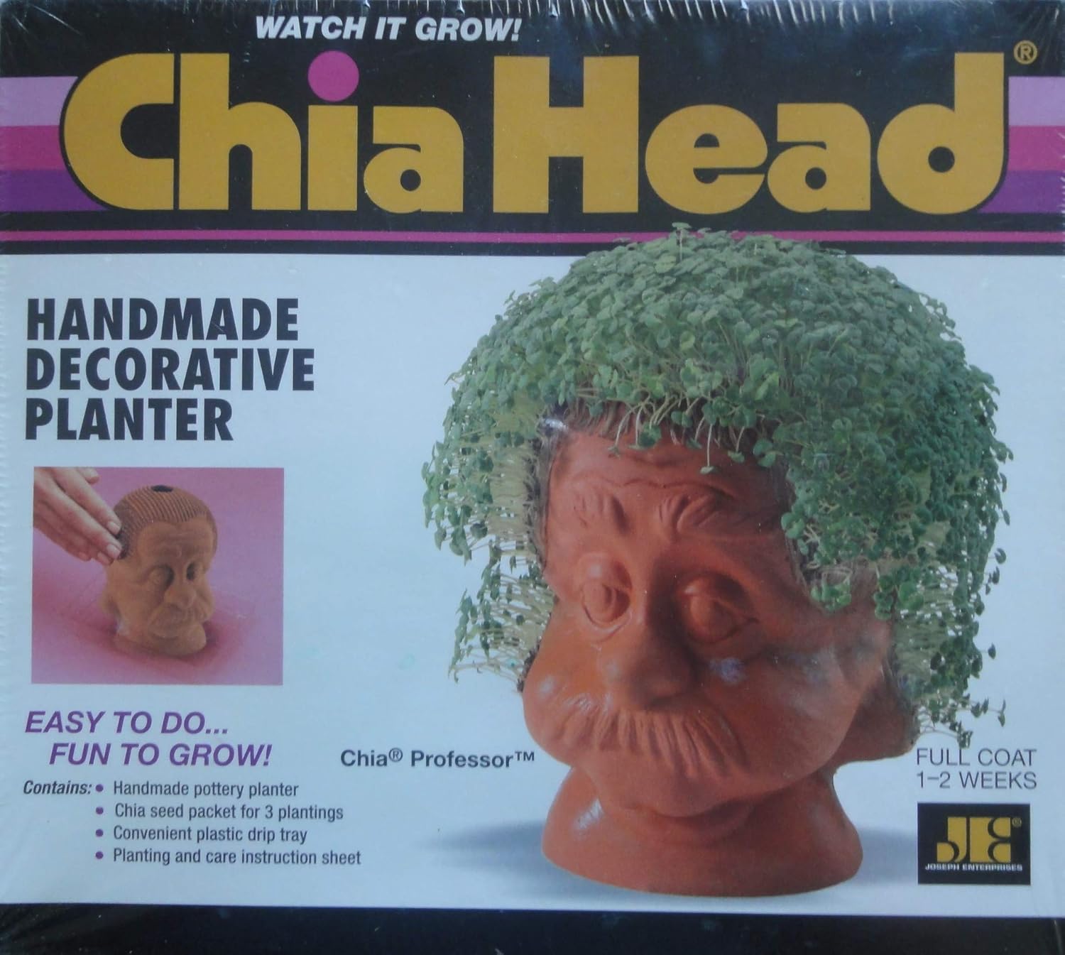 Amazon.com : Chia Head Professor Handmade Decorative Planter with Chia ...