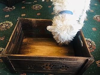 BASIC HOUSE Paw Shaped Cutout Dog Toys Chest Gift Hampers Storage ...