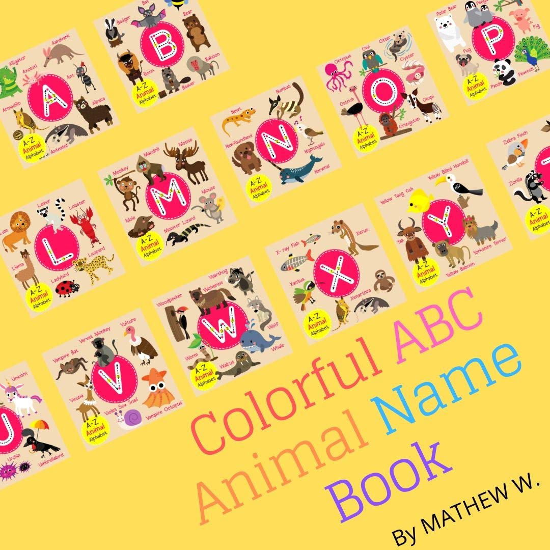 The ABC Colorful Vocabulary Book: The ABC Vocabulary Book for Age 2-5 ...