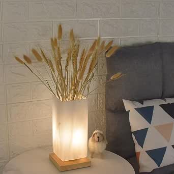 Amazon.com: Floresita Vase Table Lamp Rechargeable Touch Lamp Dimmable ...