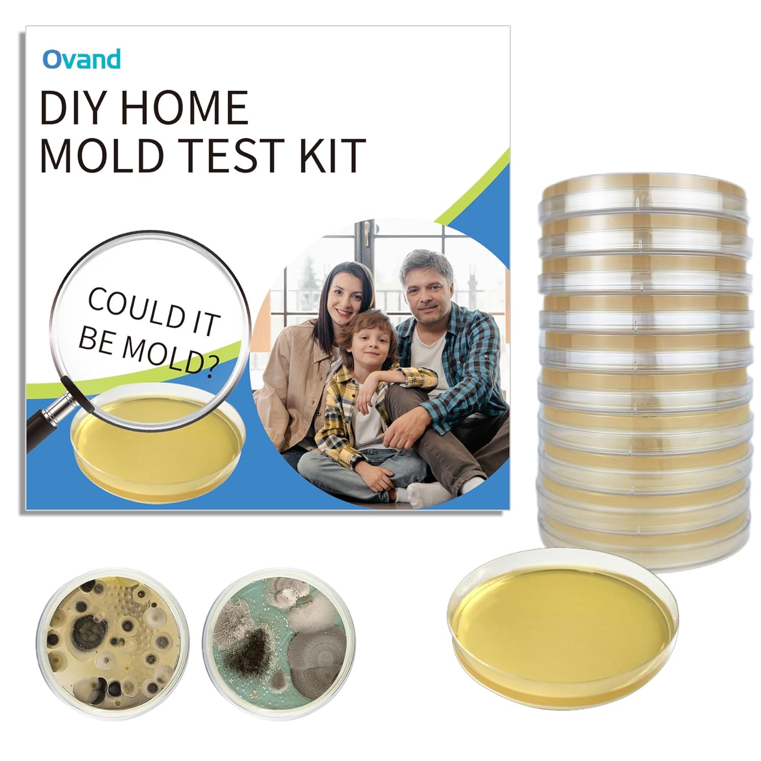 Mold Test Kit for Home - DIY Mold Testing Kit with 10 Individual Tests ...