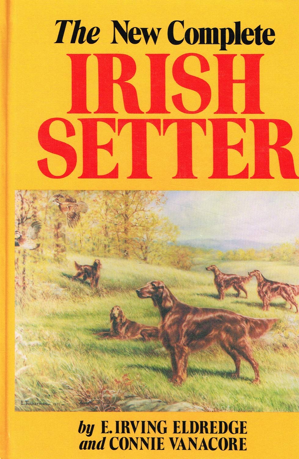 The New Complete Irish Setter: Eldredge, E. Irving.: 9780876051665 ...