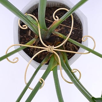 Amazon.com : Goooxim 5PCS 7.5 Inch Monstera Plant Stem Support Hook ...