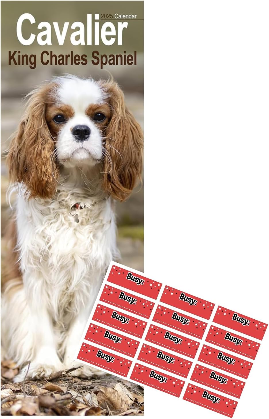 The Calendar King // Cavalier King Charles - A4 Size 2025 Wall Calendar ...