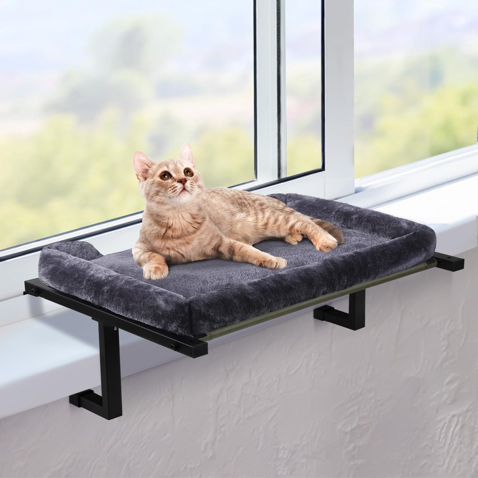 Amazon.com : Zoratoo Cat Window Sill Perch with Large Bolster, Easy to ...