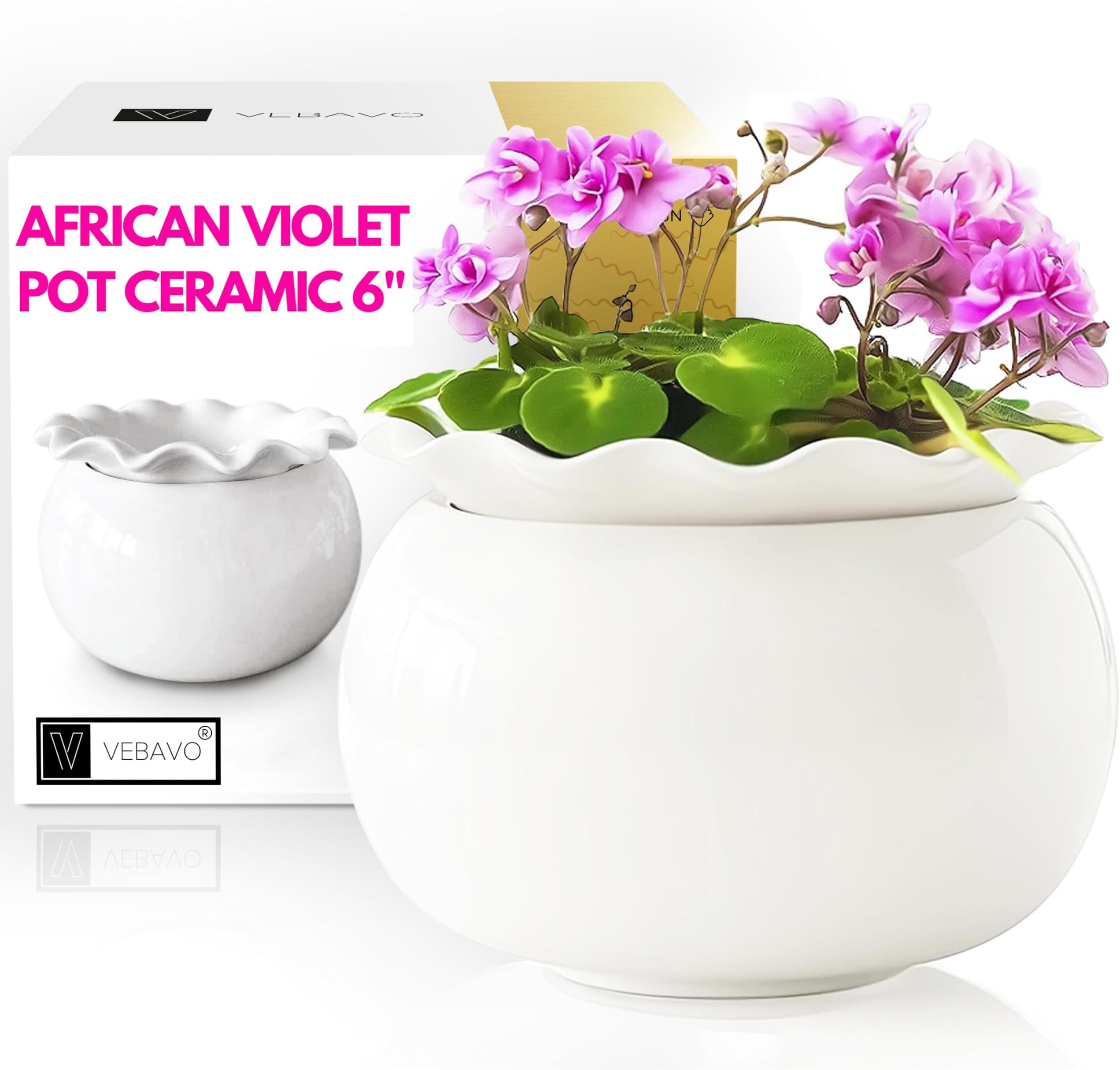 Amazon.com: African Violet Pots Self Watering - 7in White Ceramic ...