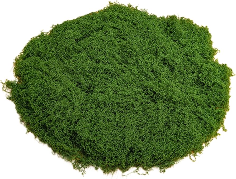Pot Mos Plant Een Glazen Vaas Met Blauwe Druifjes,mos,kwarteleitjes,en