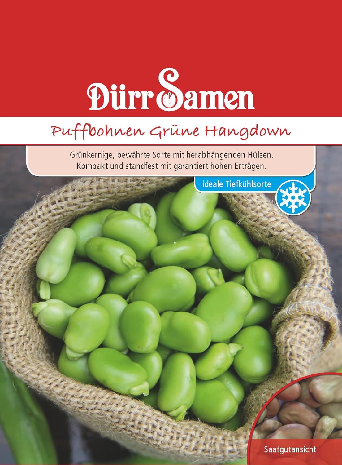 Puffbohnen Samen Grüne Hangdown Grüne Bohnen Bohnensamen ca 35 Korn ...