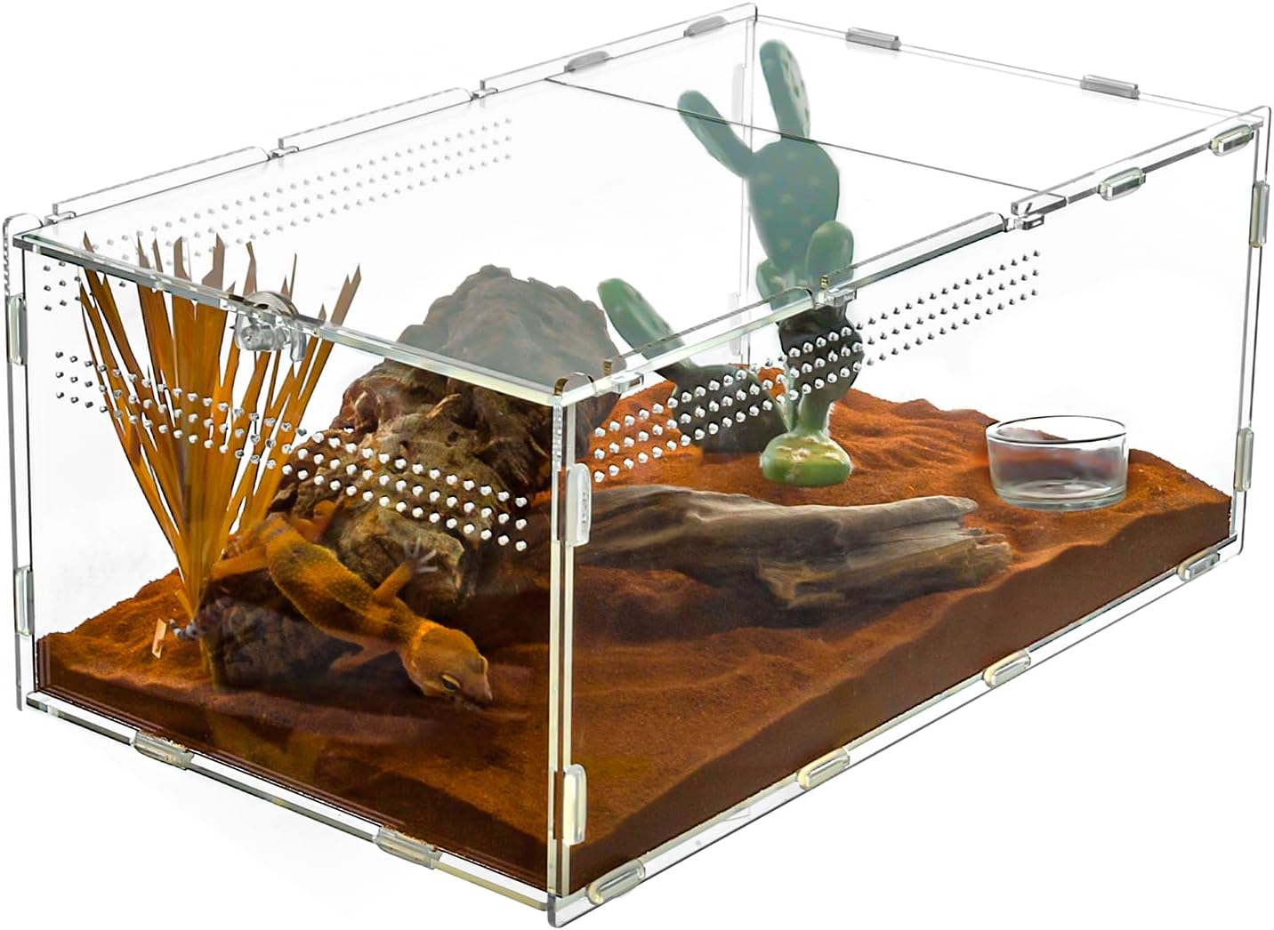 Amazon.com : REPTI ZOO 2 in 1 Acrylic Aboreal Breeding Box for Mantis ...