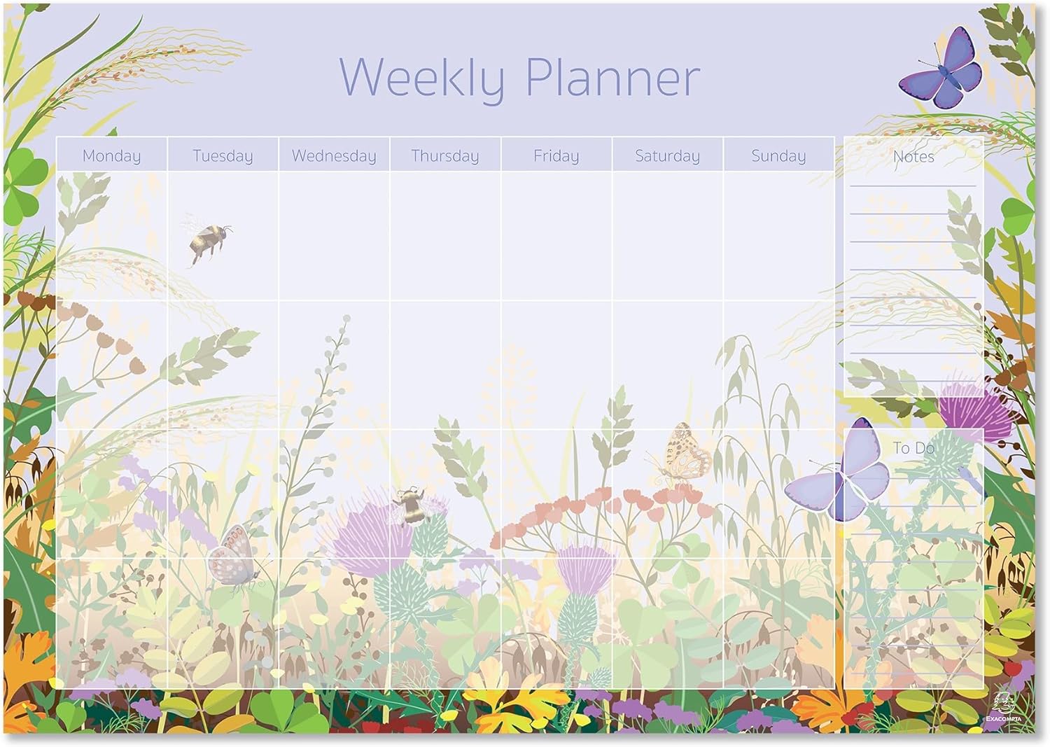 Exacompta - Ref GS011Z Weekly Planner, 90gsm Paper 210mm x 297mm A4 ...