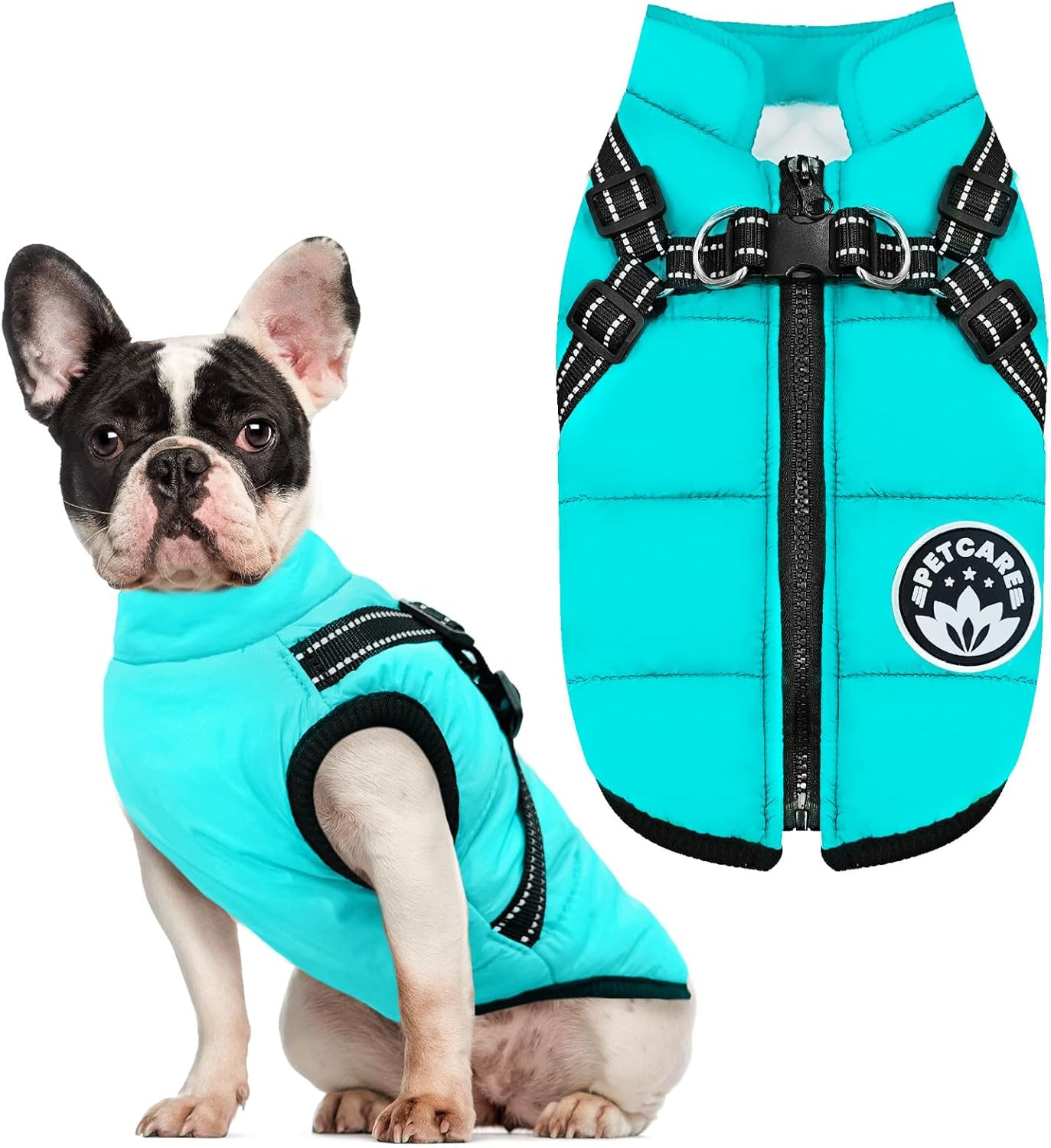 Amazon.com : PETCARE Winter Dog Coat with Harness Built in Waterproof ...