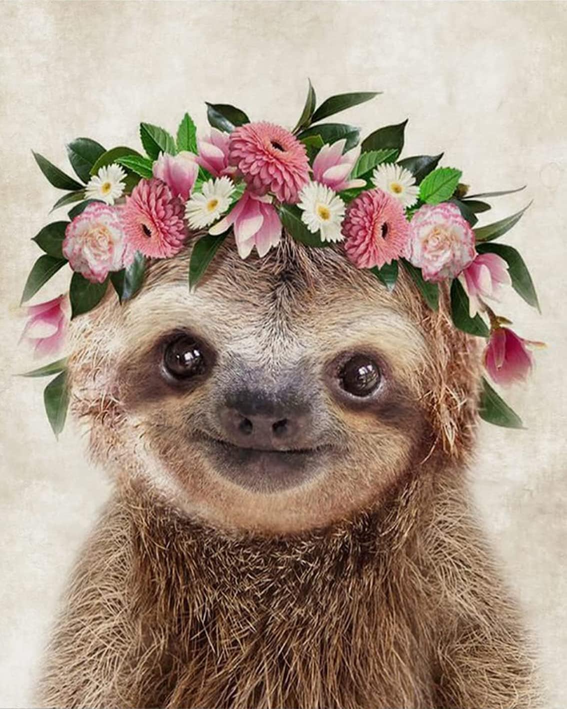 Amazon.com: Paint by Numbers for Adults Sloth Wearing a Wreath, Funny ...