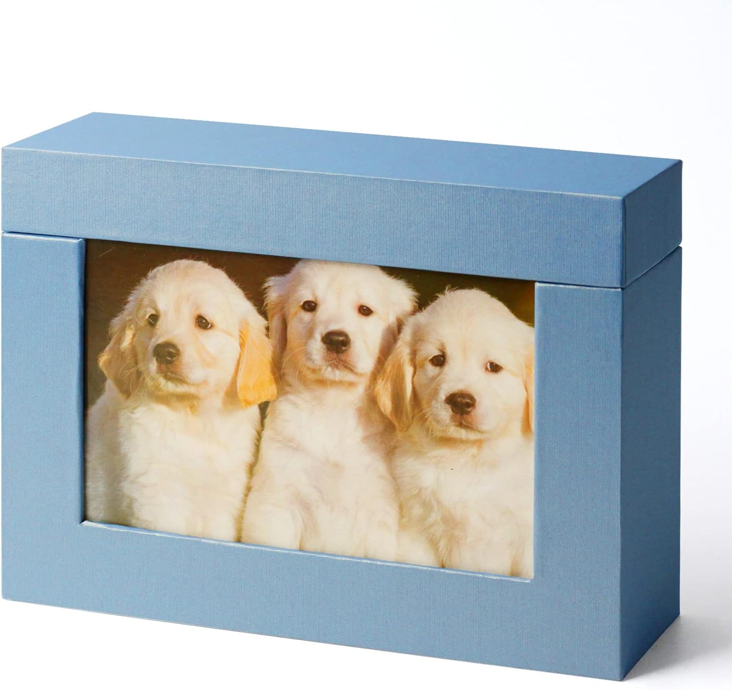 Amazon.com: Aiuonenian Cardboard Photo Storage Boxes 5x7 - Family ...