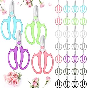 Amazon.com : Garden Flower Scissors Floral Shears Garden Pruning Shears ...