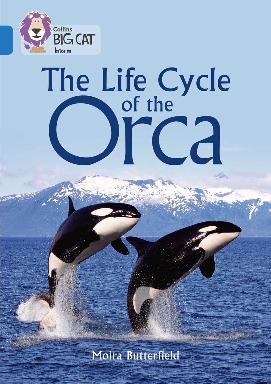 Collins Big Cat – The Life Cycle of the Orca: Band 16/Sapphire ...