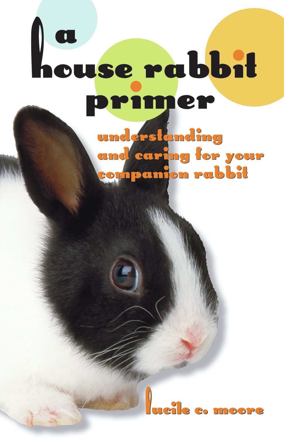 A House Rabbit Primer: Understanding and Caring for Your Companion ...
