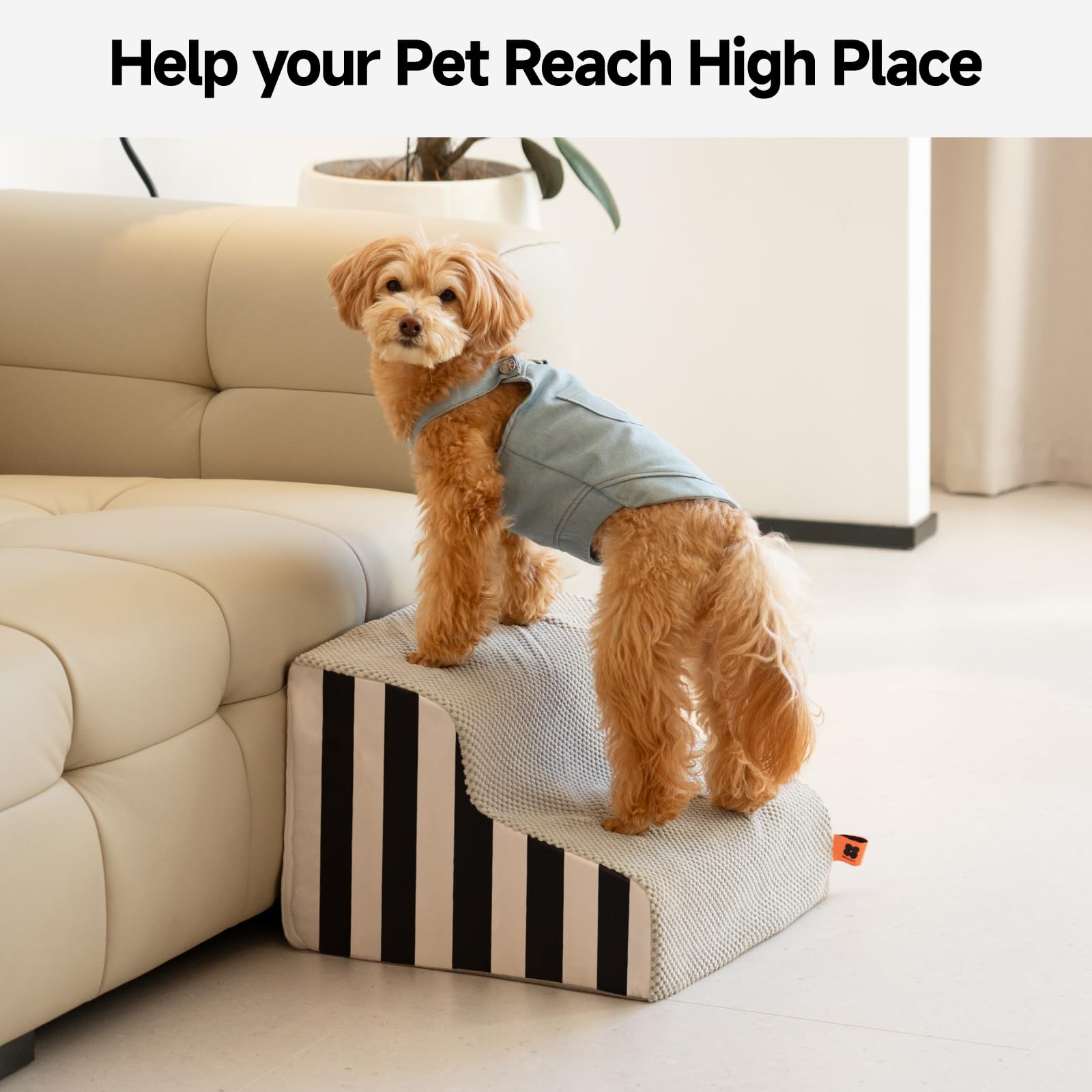 Snapklik.com : MEWOOFUN Dog Stairs For Small Dogs 2-Tier Dog Steps For ...
