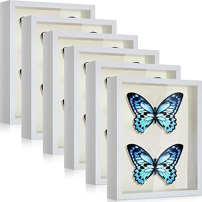 6 Pieces Shadow Box Picture Frame Square Shadow Boxes Display Cases for ...