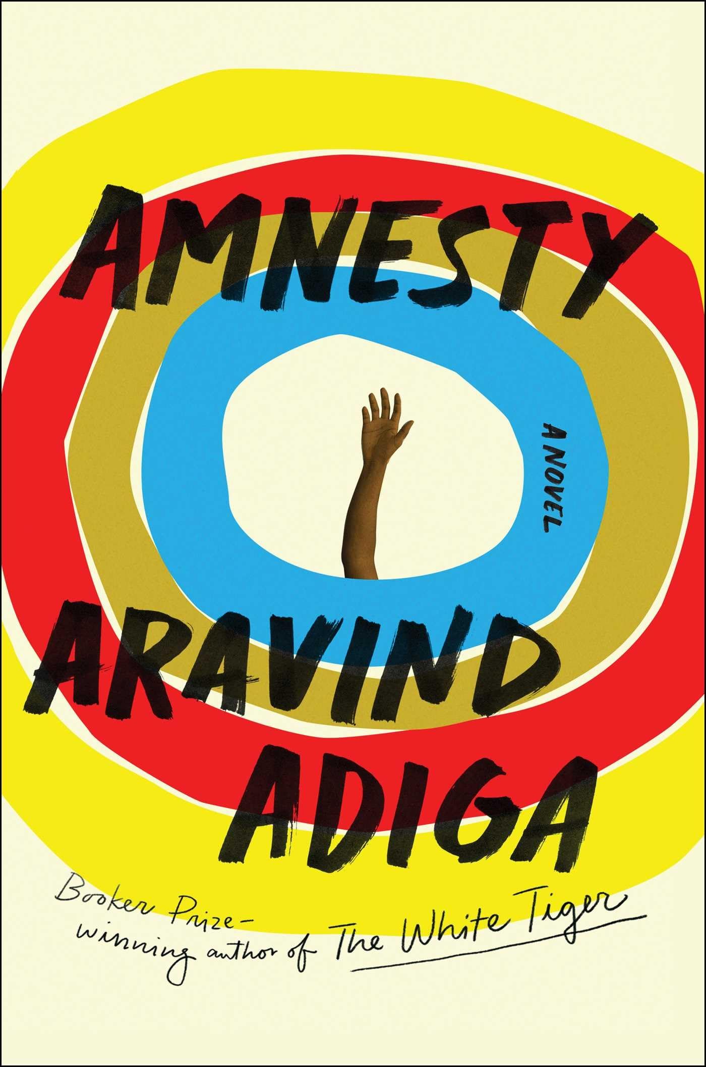 Amazon.com: Amnesty: A Novel: 9781982127244: Adiga, Aravind: Books