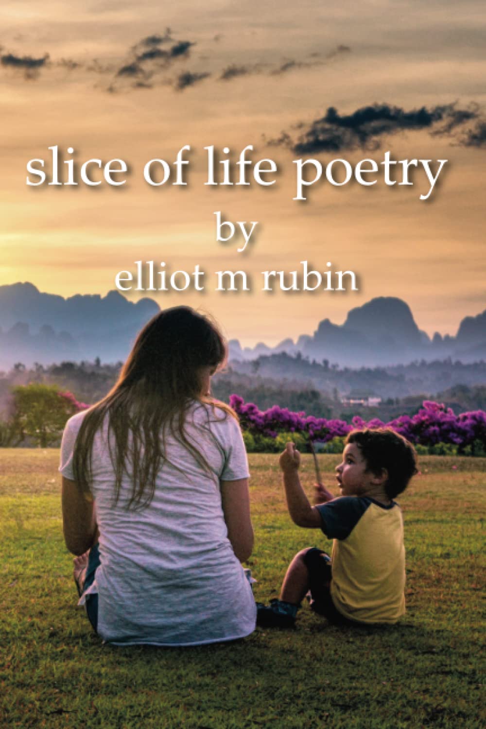 Buy slice of life poetry Book Online at Low Prices in India | slice of ...