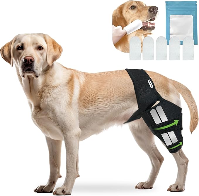 CATUPUNIS Dog Acl Brace Hind Leg Brace for Dogs Back Leg. Dog Knee ...