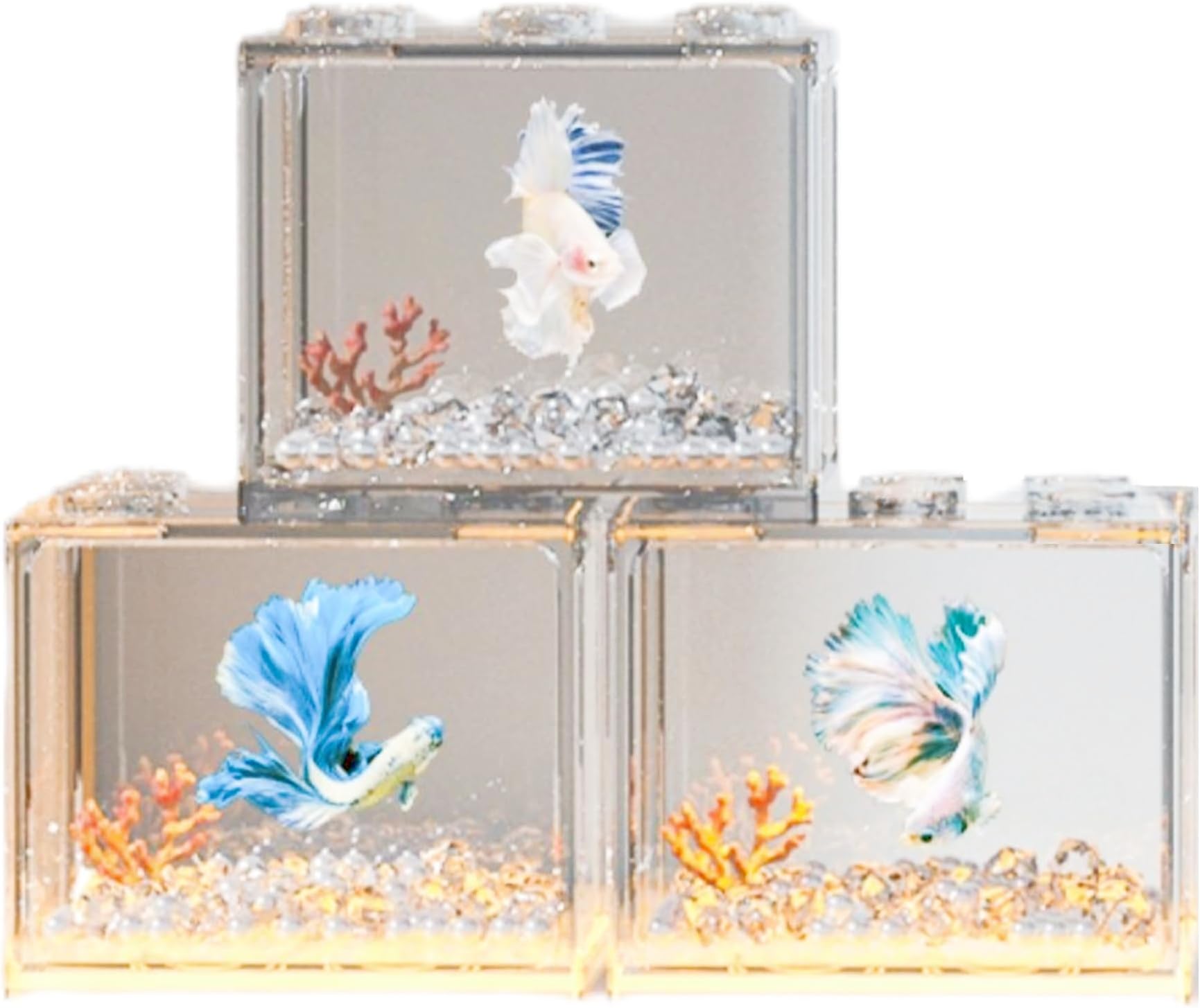 Amazon.com : Littledropet 3 Packs Betta Fish Tank Bowl,0.3 Gallon ...