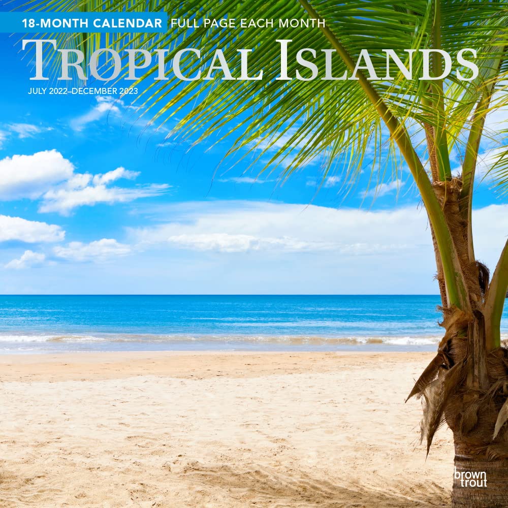 Buy Tropical Islands | 2023 12 x 24 Inch 18 Months Monthly Square Wall ...