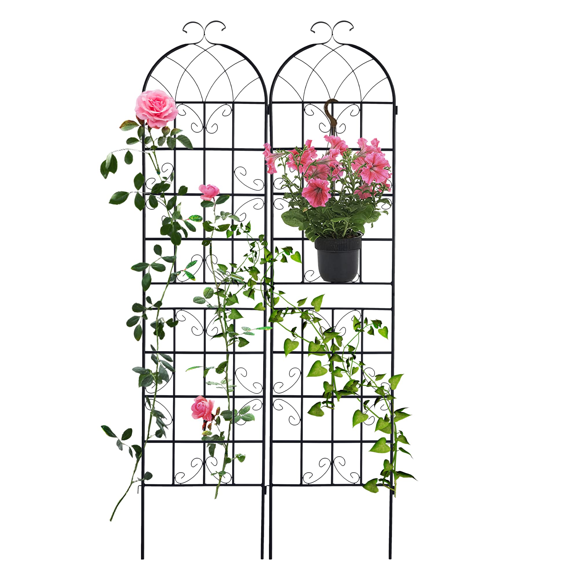 Snapklik.com : Metal Trellis Garden Trellis 2 Pack Metal Garden Trellis ...