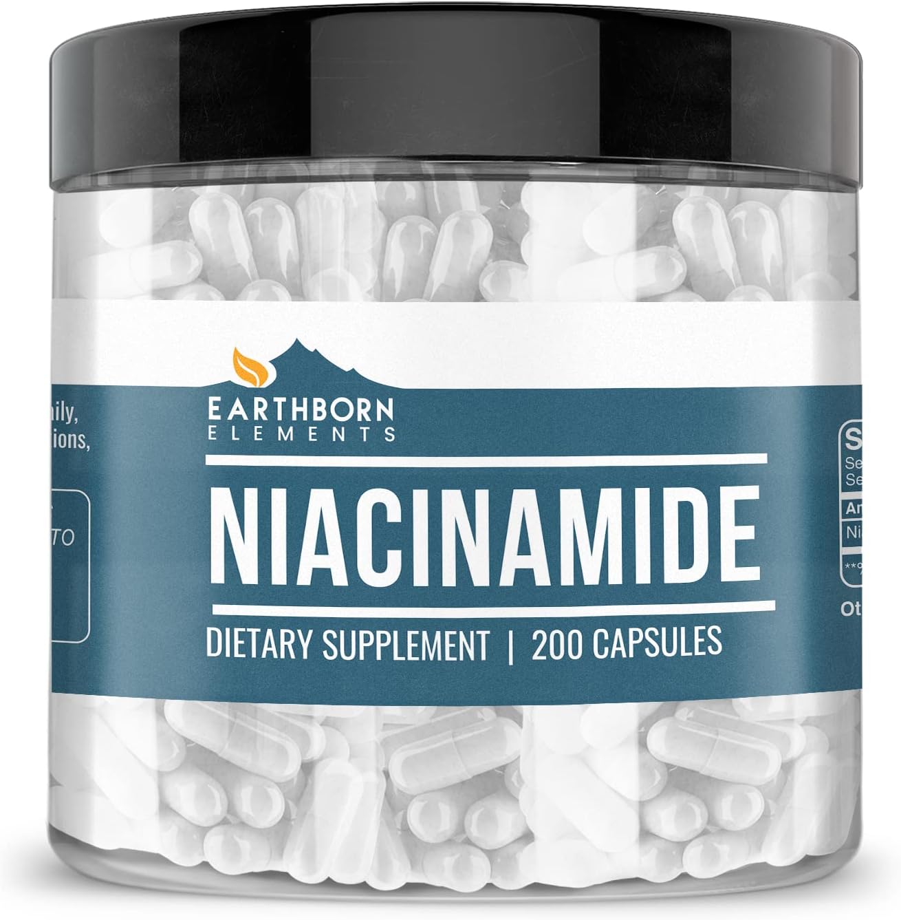 Amazon.com: Source Naturals Niacinamide B-3, 100 mg Dietary Supplement ...