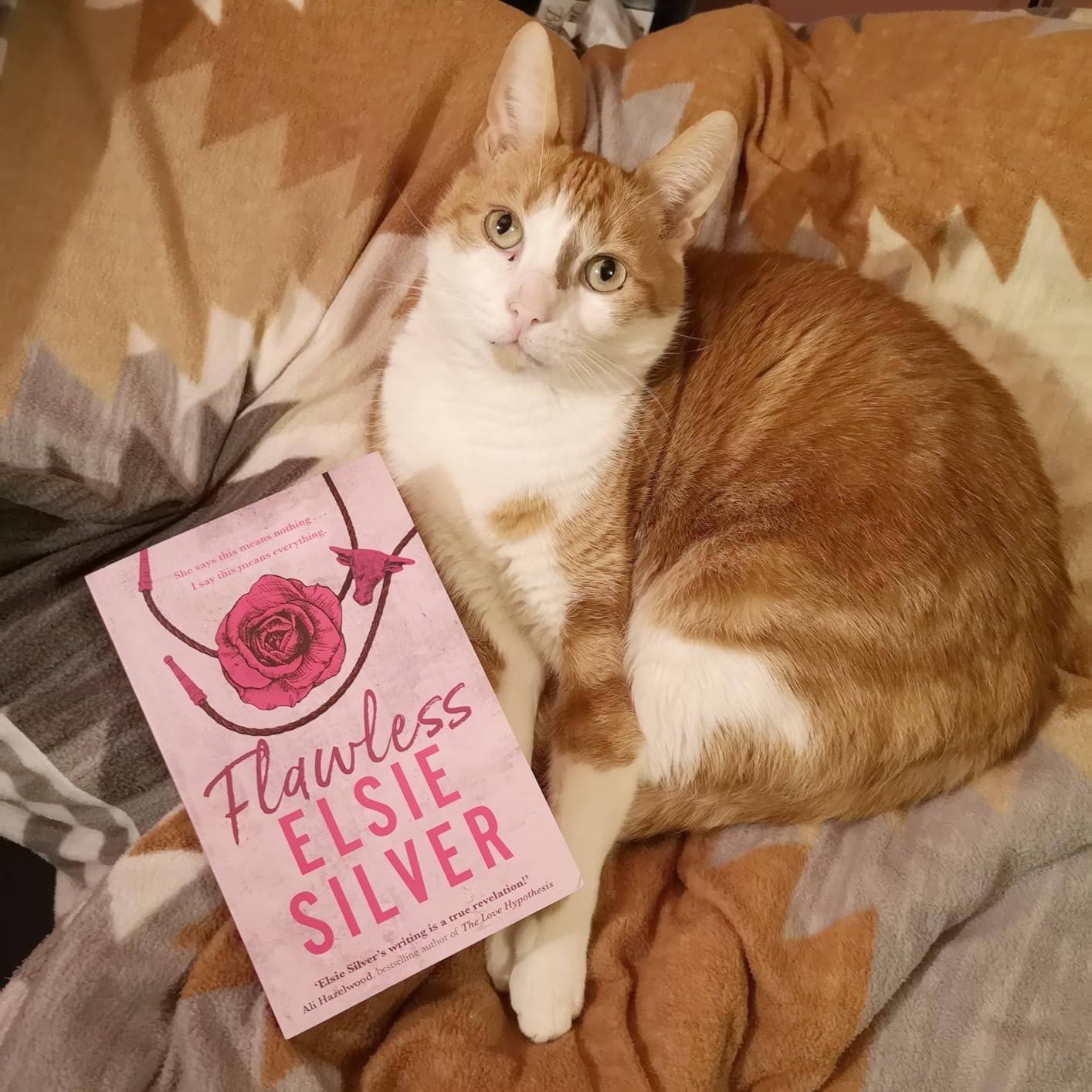 Flawless: The must-read, small-town romance and TikTok bestseller ...