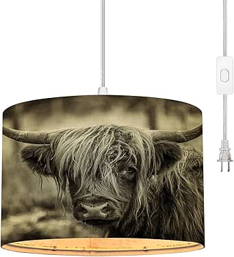 WYLZ0123xzan Plug in Pendant Light Highland Cow Hanging Lamp with Plug ...