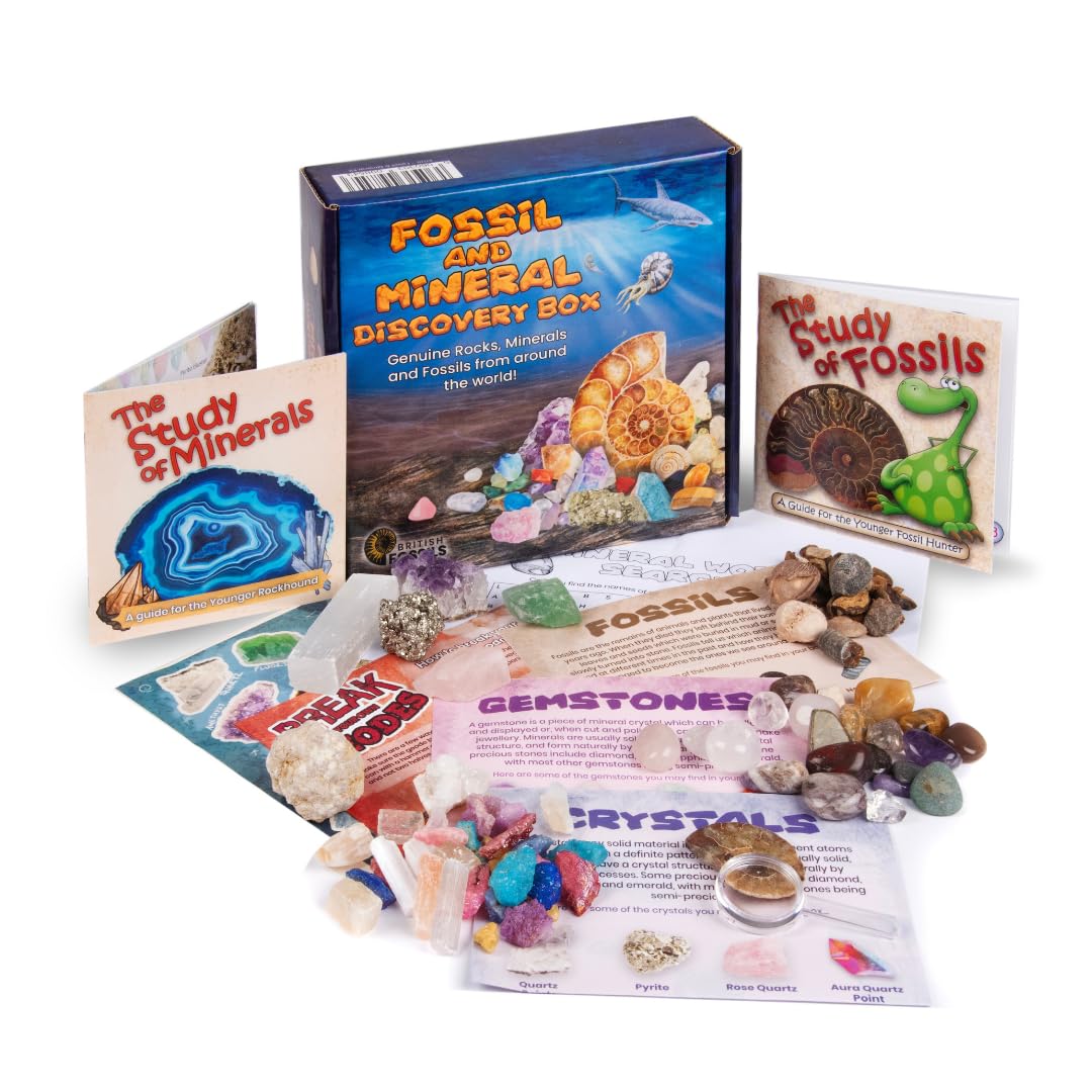 Ultimate Rock, Fossil & Mineral Discovery Starter Kit – Hand – Selected ...