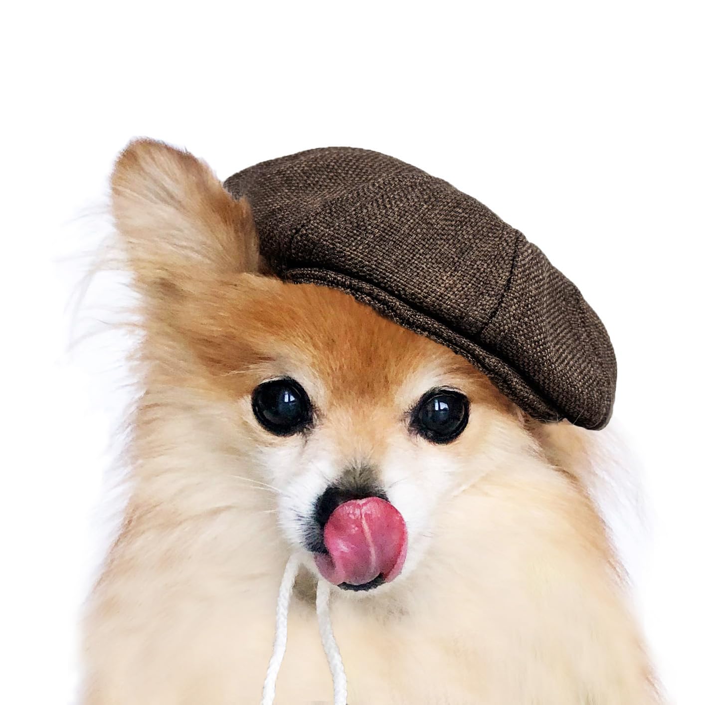 Amazon.com: Handmade dog newsboy cap Beret for cats Flat caps for small ...