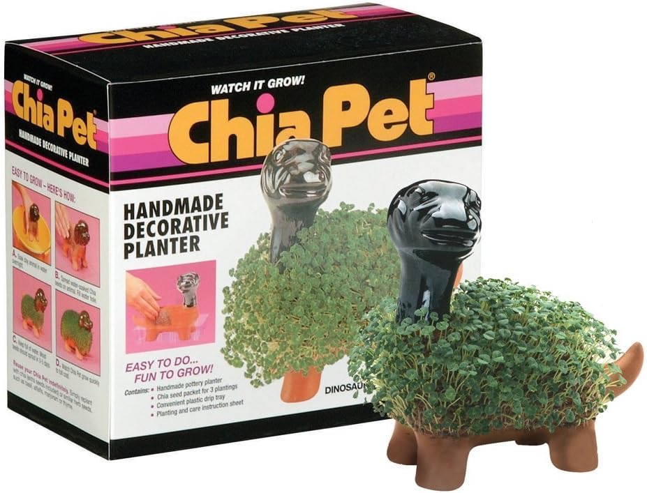 Amazon.com : Chia Pet Hello Kitty with Seed Pack, Decorative Pottery ...
