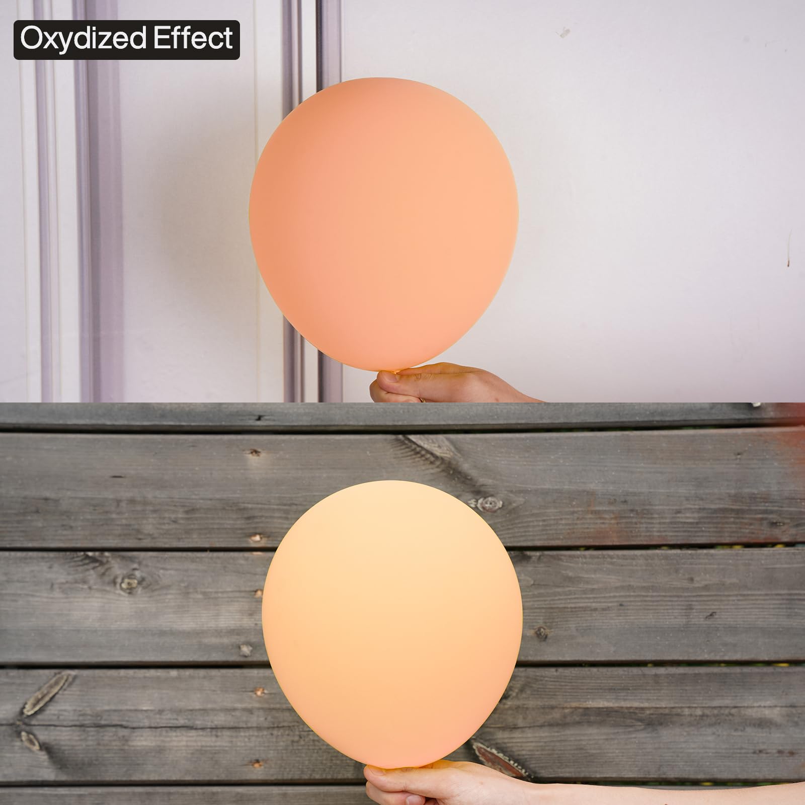 Snapklik.com : Pastel Orange Balloons, 50 Pcs 5 Inch Pale Orange ...
