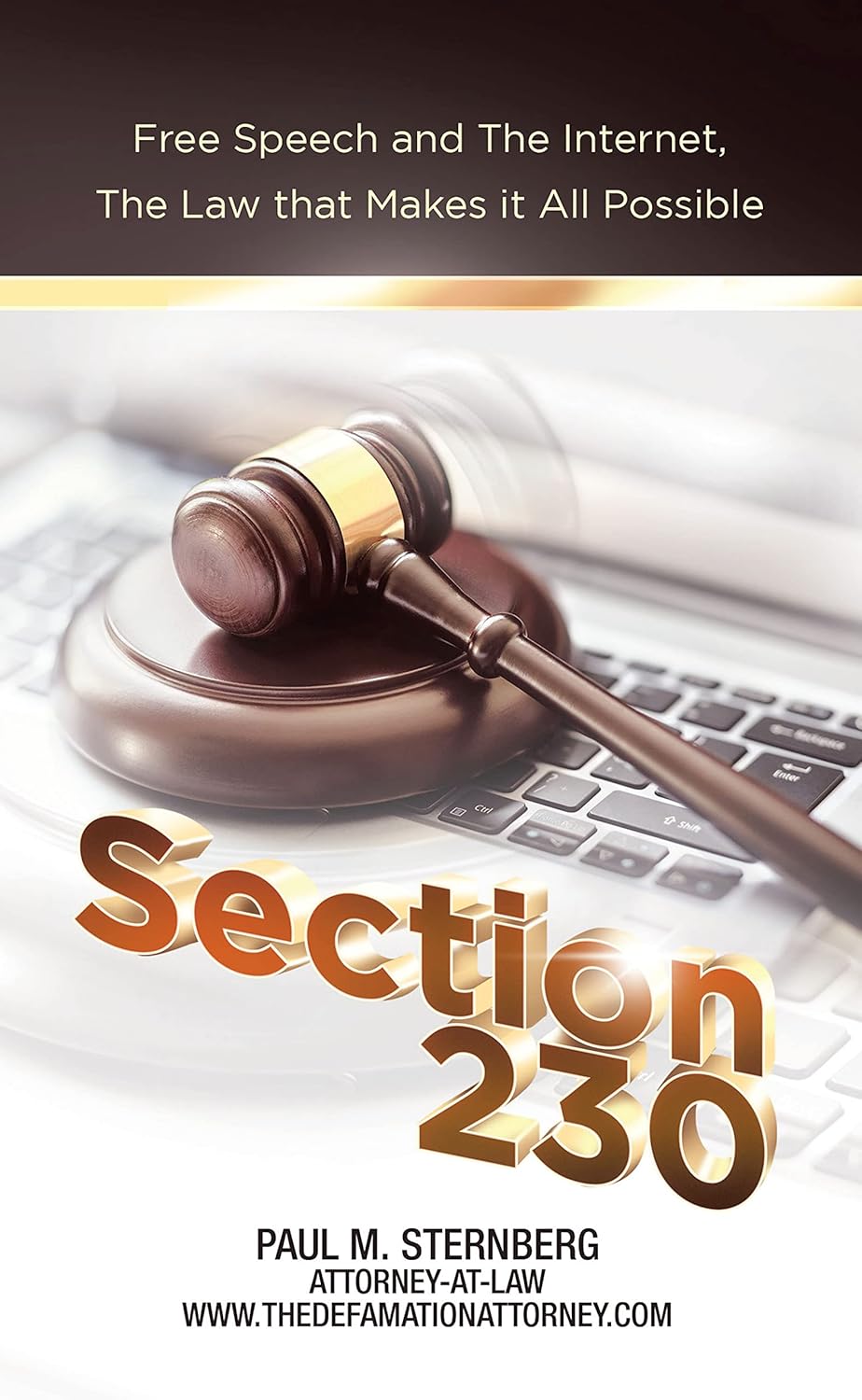 Section 230: Free Speech and the Internet, the Law That Makes It All Possible - Kindle edition ...