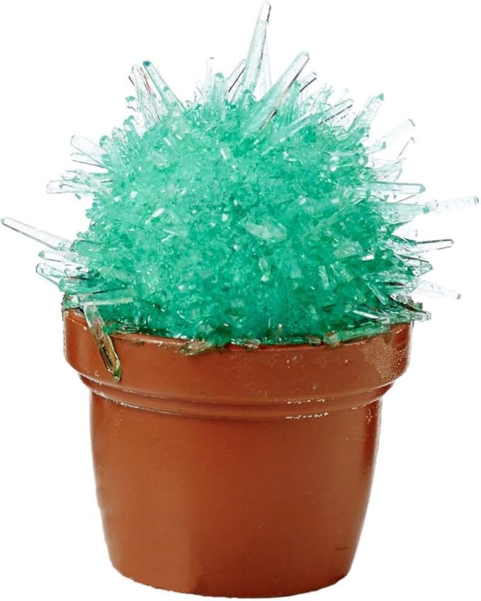 Amazon.com: Design Ideas Magicactus Kit, Miniature Crystal Cactus ...