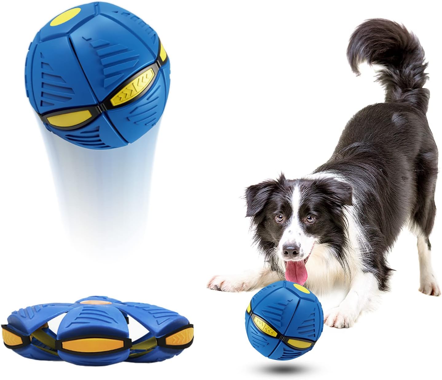 Pet Supplies : LITTLE GUY Dog Toy Ball 2023 Magic Flying Saucer Ball ...
