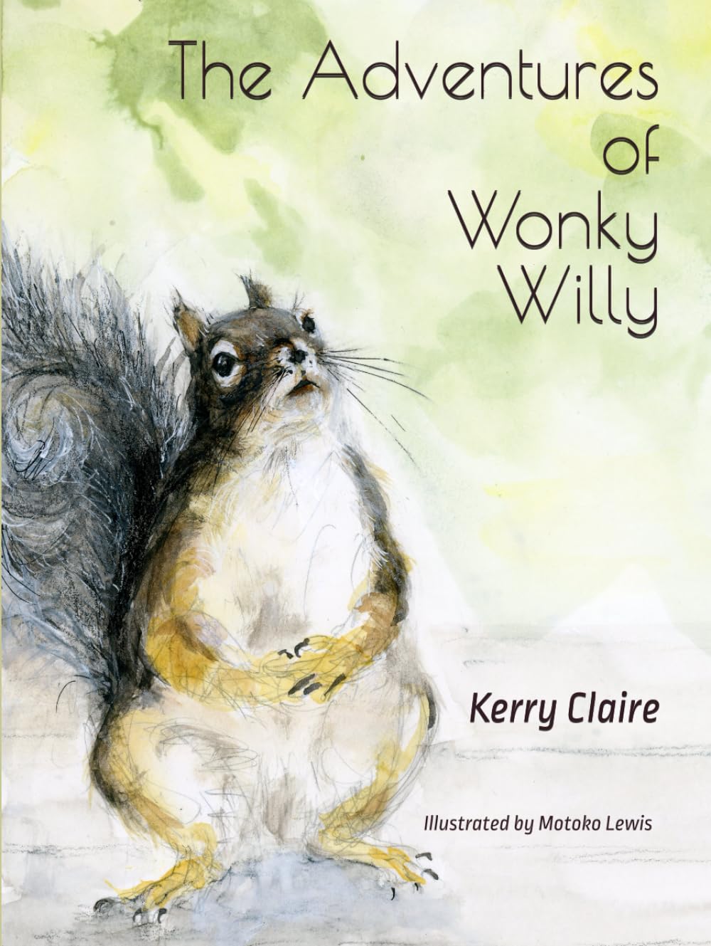 The Adventures of Wonky Willy: Claire, Kerry, Lewis, Motoko: 9798335026956: Amazon.com: Books