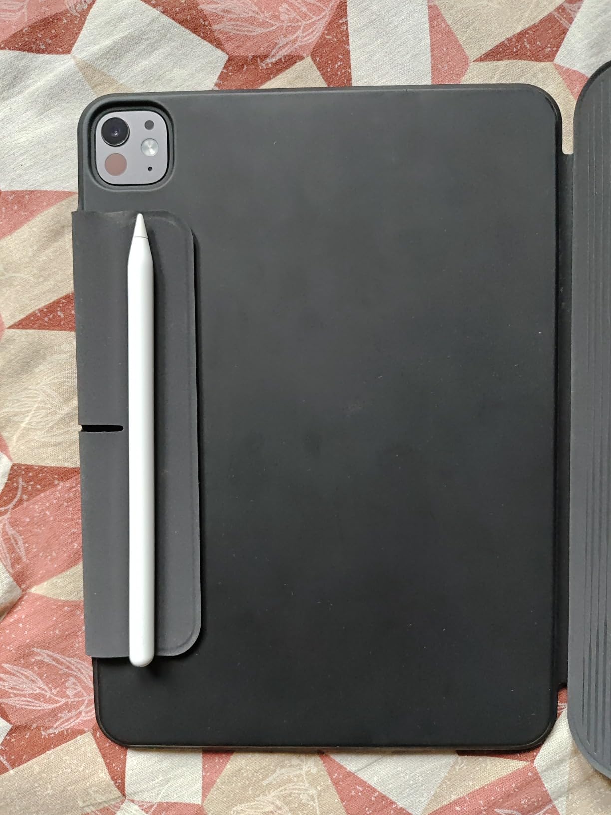 Apple iPad Pro 11″ (M4): Ultra Retina XDR Display, 1TB, Landscape 12MP ...