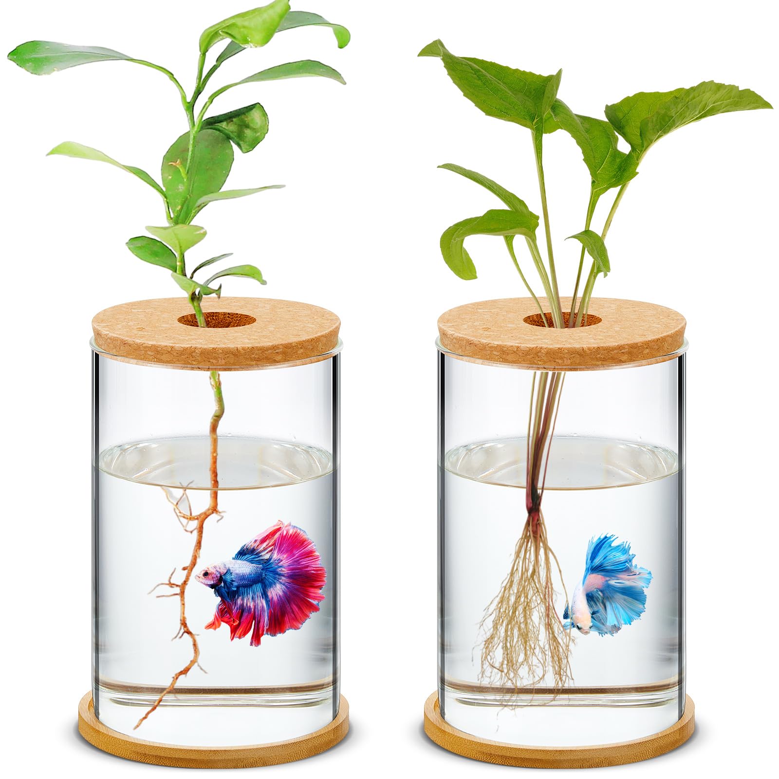 Betta Fish Bowl With Bamboo